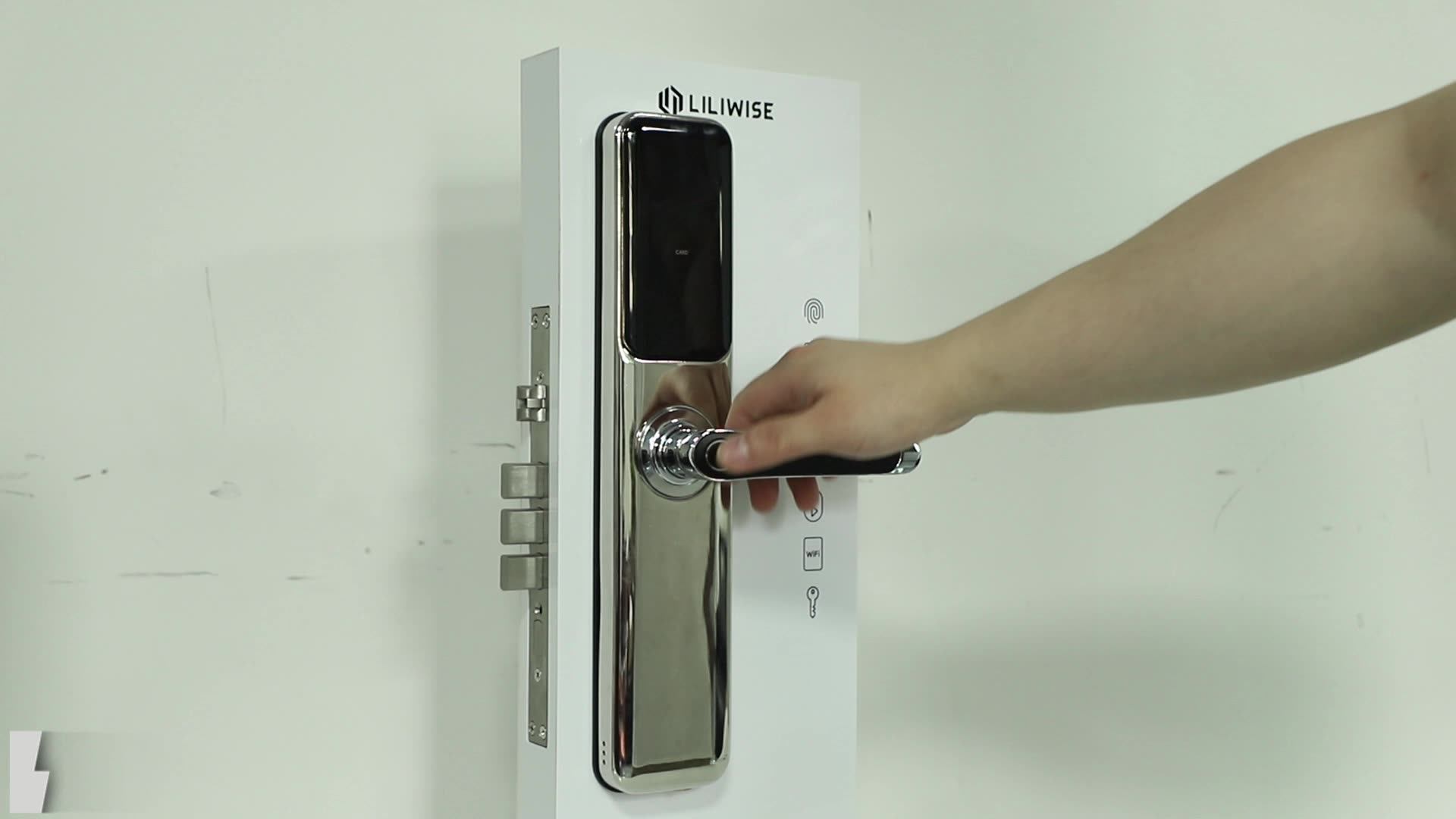 Liliwise New Finger Print Door Handle Ttlock App Tuya Wifi Smart ...