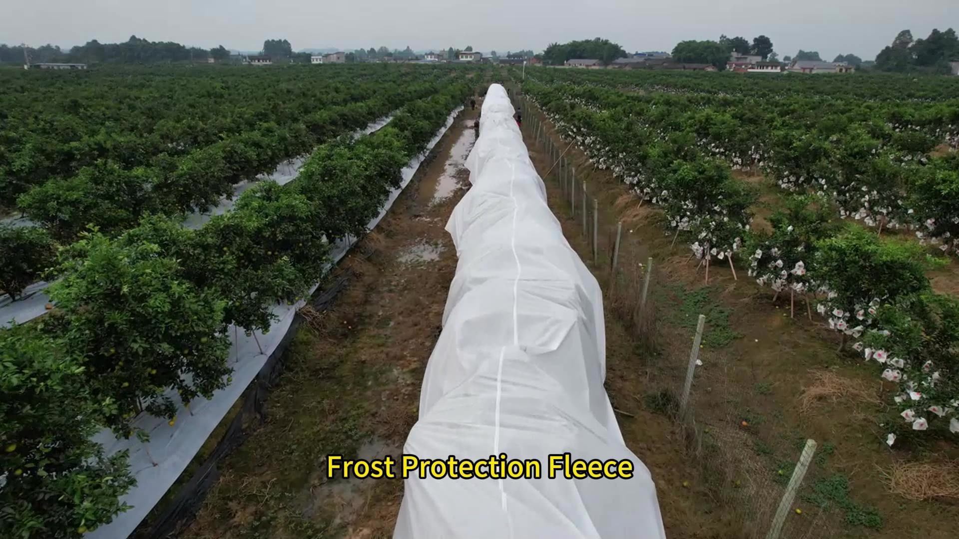 Pla Agricultural Greenhouse Gardent Fruit Grove Anti Cold Plant Cover ...