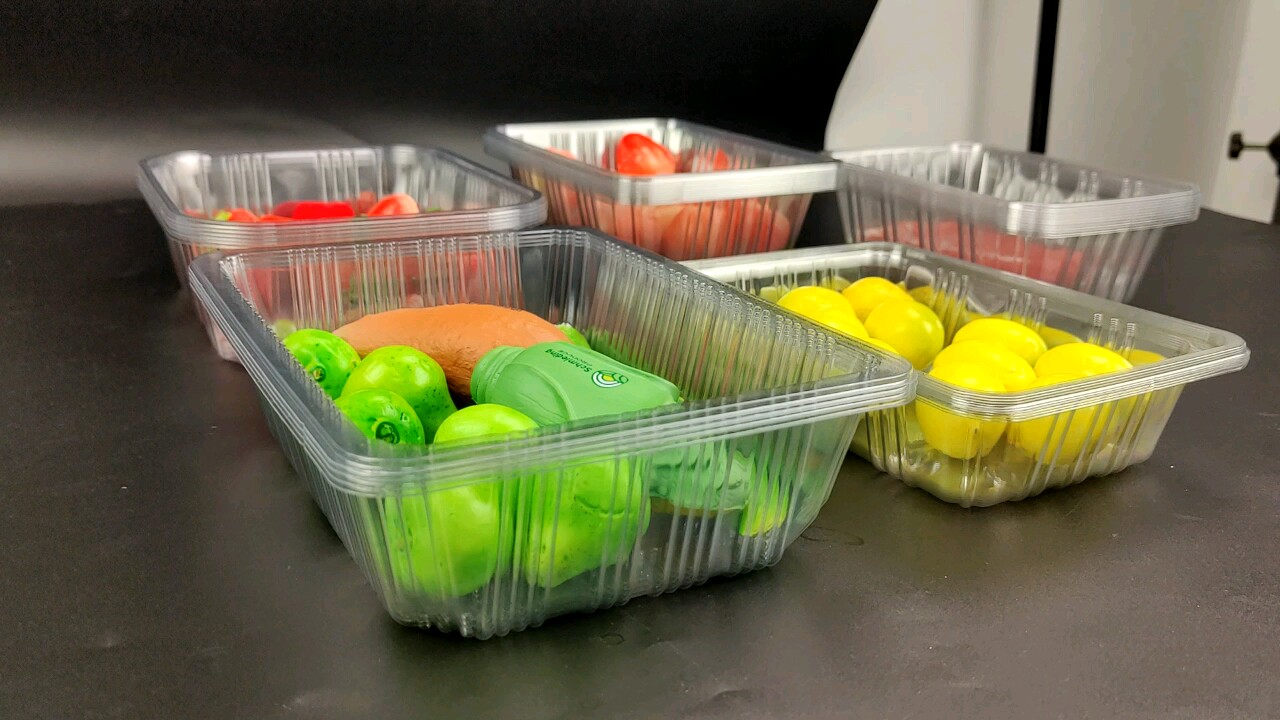 Supermarket Fresh Meat Tray Plastic Food Packaging Plastic Tray Pet ...