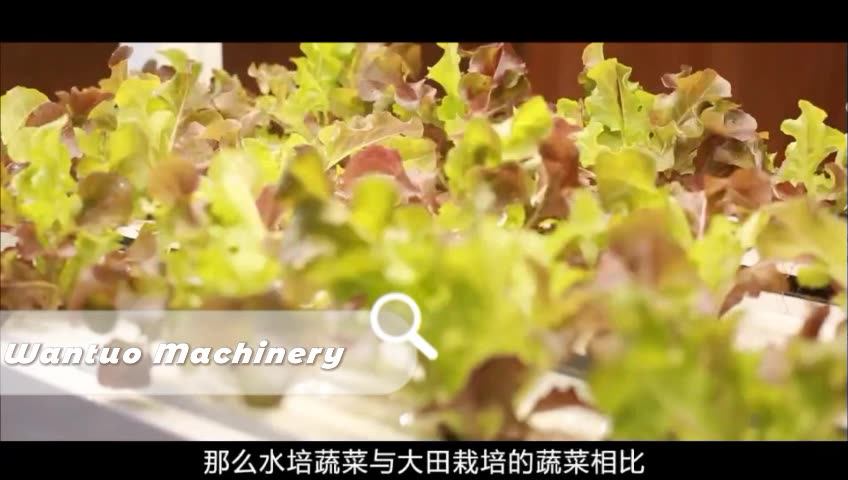 Indoor Multi-layers Vertical Automatic Intelligent Hydroponic Leafy ...