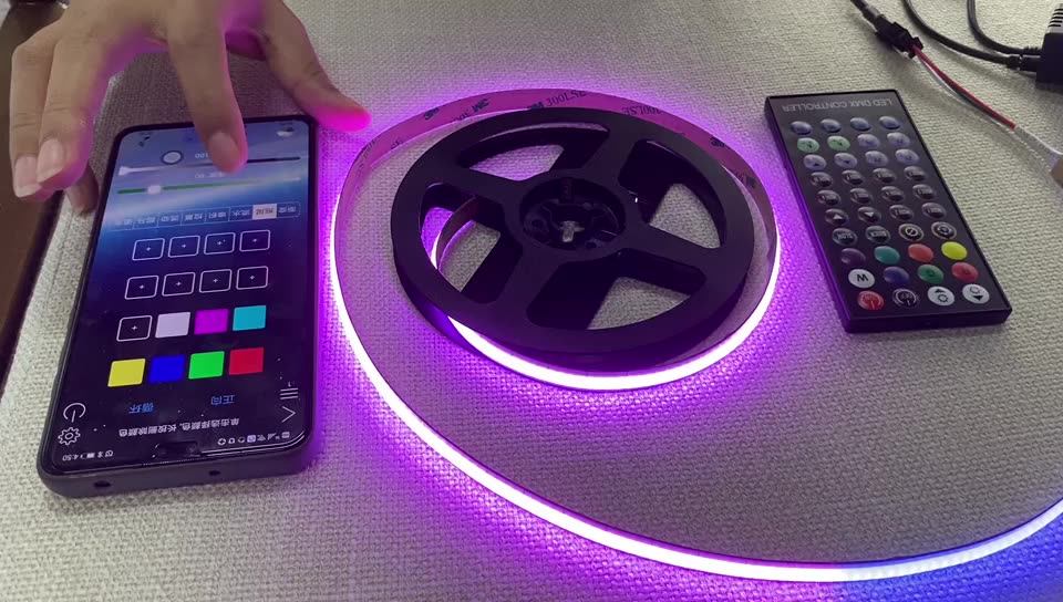 Waterproof Ip67 24v 12v Addressable Pixel Cob Led Strip Light Rgbic ...