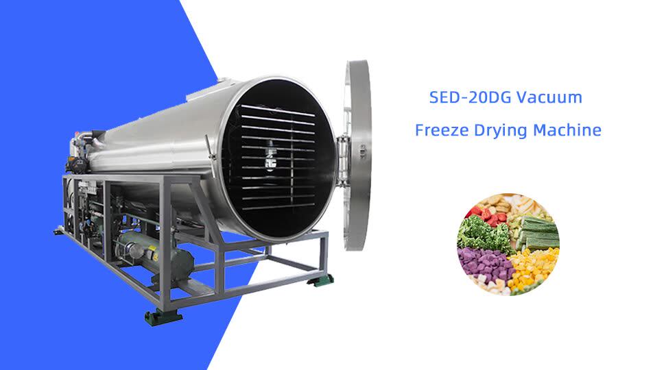 China Lyophilization Equipment Freeze Drying Lyophilizer Machine ...