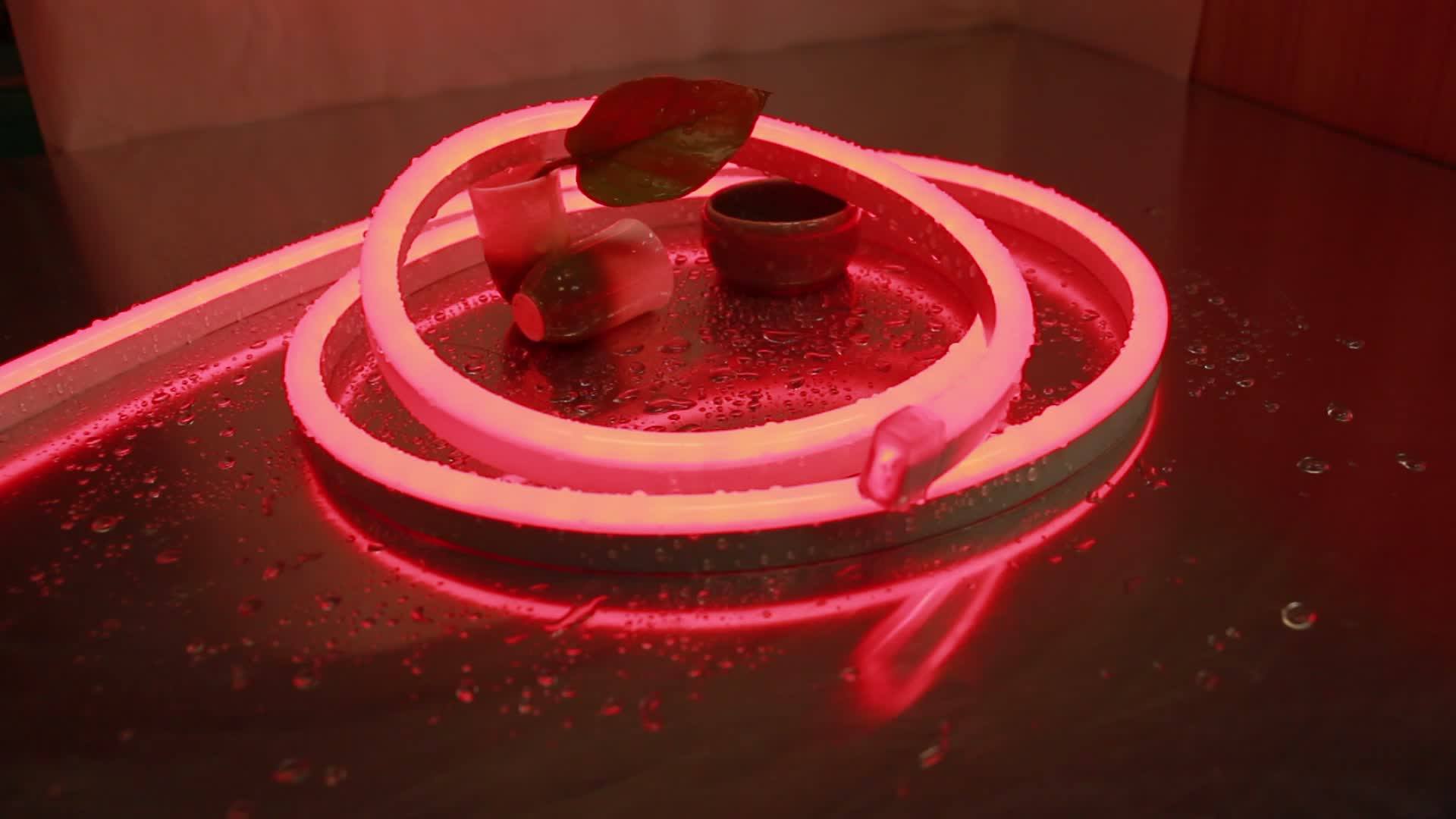 Led Neon Flex 24 Volts Stripe 10x20mm Rgb Pwm Dmx Outdoor Ip68 ...