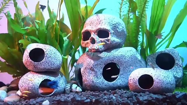Fish And Shrimp Breeding Marbles Ceramic Rock Cichlid Stone Shelter ...