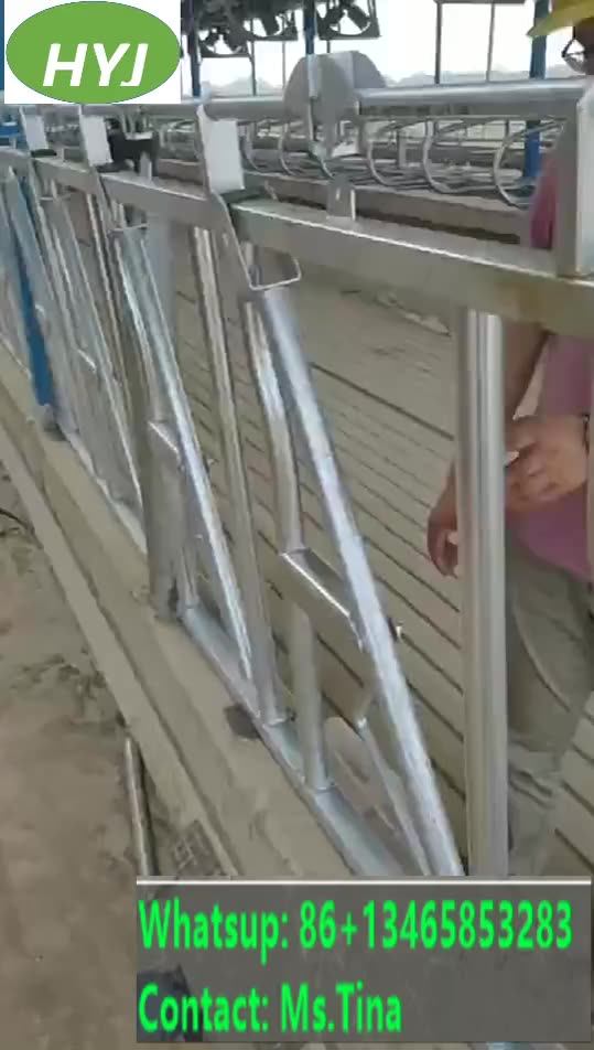 Stainless Steel Cow Headlock Cattle Headlock Farming Equipment Cow ...