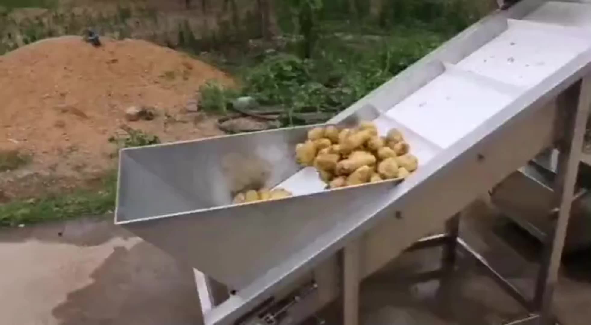 Sweet Potato Washing Line Size Grading Washing And Sorting Machines ...