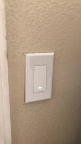 Alexa Light Switch Double Smart Wifi Light Switches Smart Switch 2 Gang ...