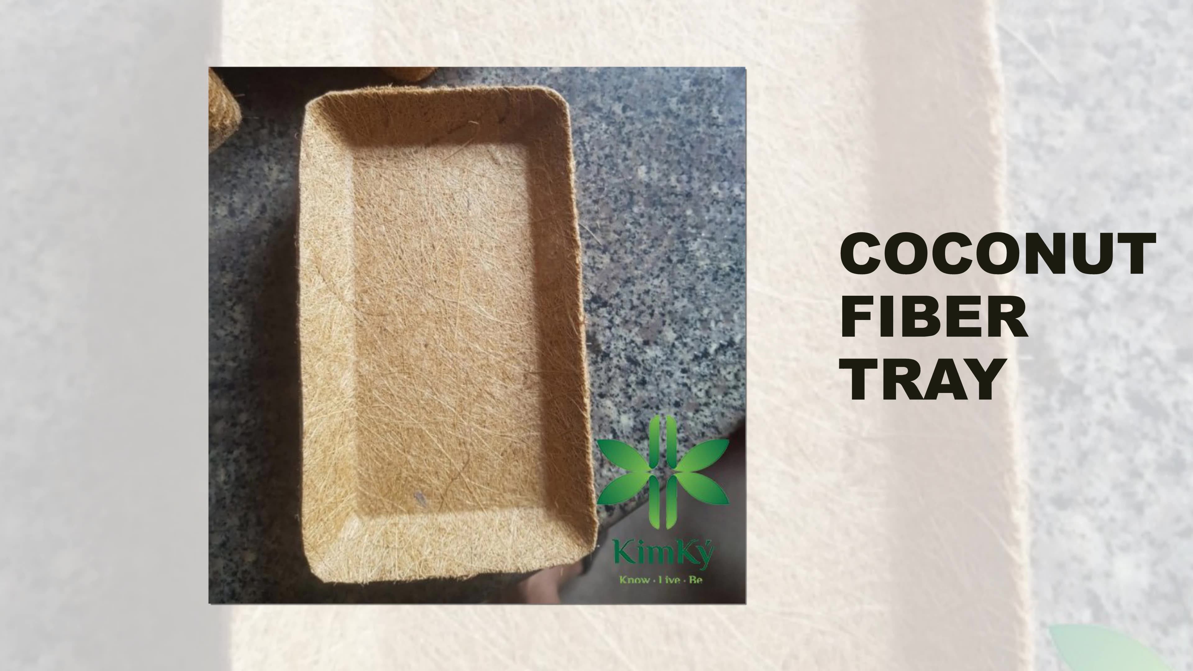 Vietnam 2024 New Product For Dry Food Vegetable Fruit Packaging All ...