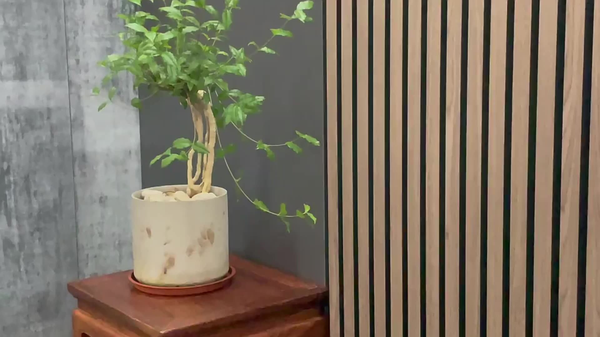 Wooden Grooved Acoustic Oak Wood Wall Panels Felt Oak Wood Wall Panels ...