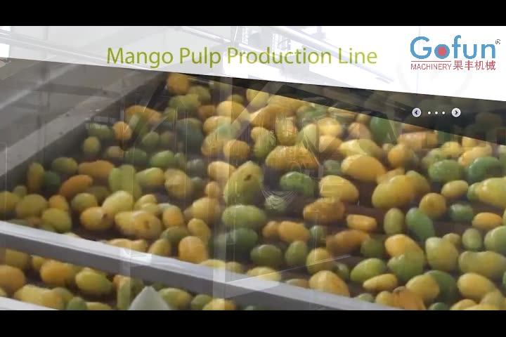 Processing Sorting And Grading Lines For Mango Fruit Processing ...
