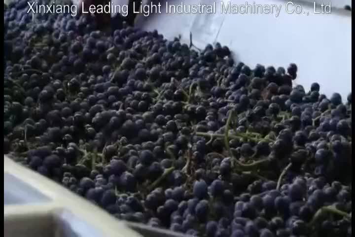 Automatic Grape Destemmer Machine Grape Crusher Machine For Commercial ...