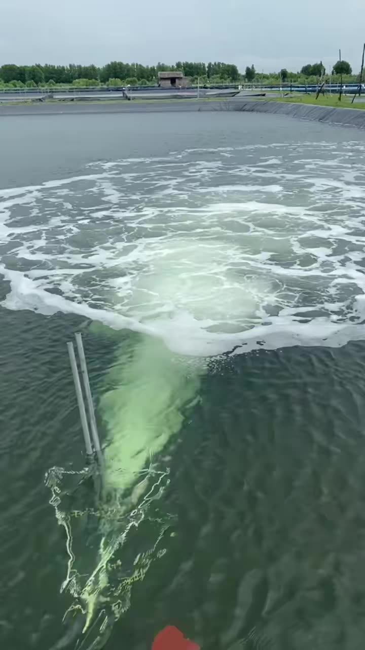 New Design 1hp/2hp Ss304 Aquaculture Machine 110v/440v Submersible Air ...