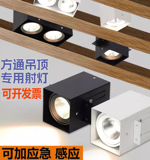 Aluminum square-tun spotlight special downlight LED grille double-head ...