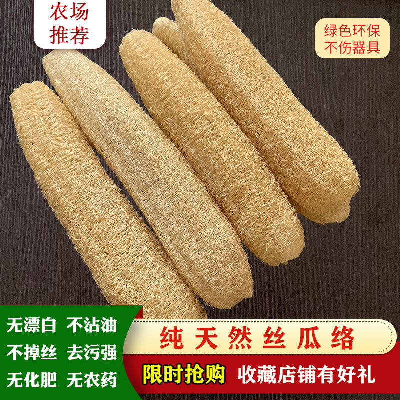 Shocking the entire internet! is it true that loofah sponges really don ...