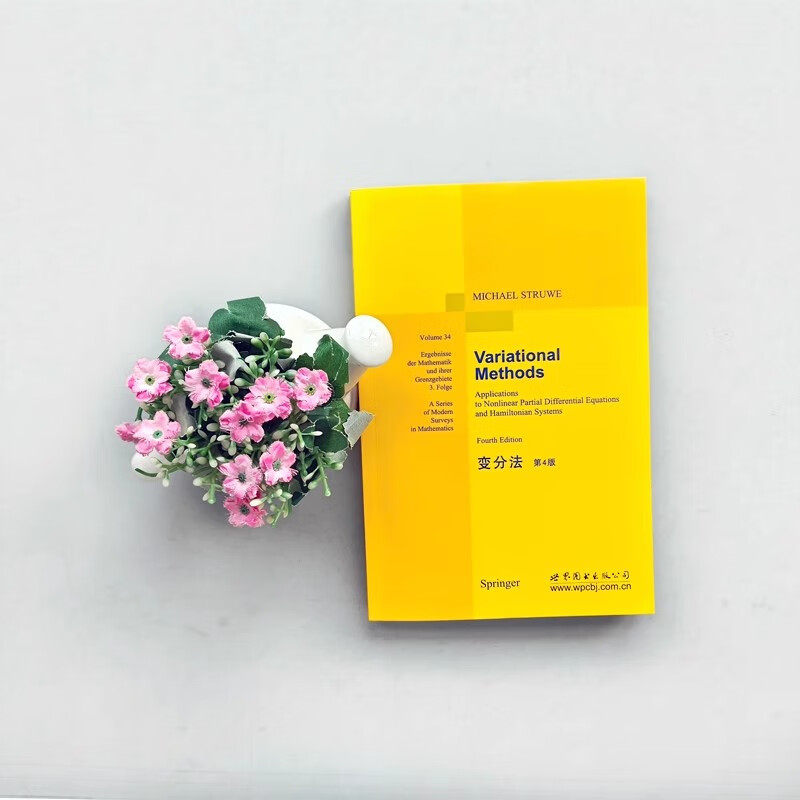 变分法第4版！Michael Struwe神书到底有多神？数学系人手一本的硬核教材🔥-数学-淘宝好物网