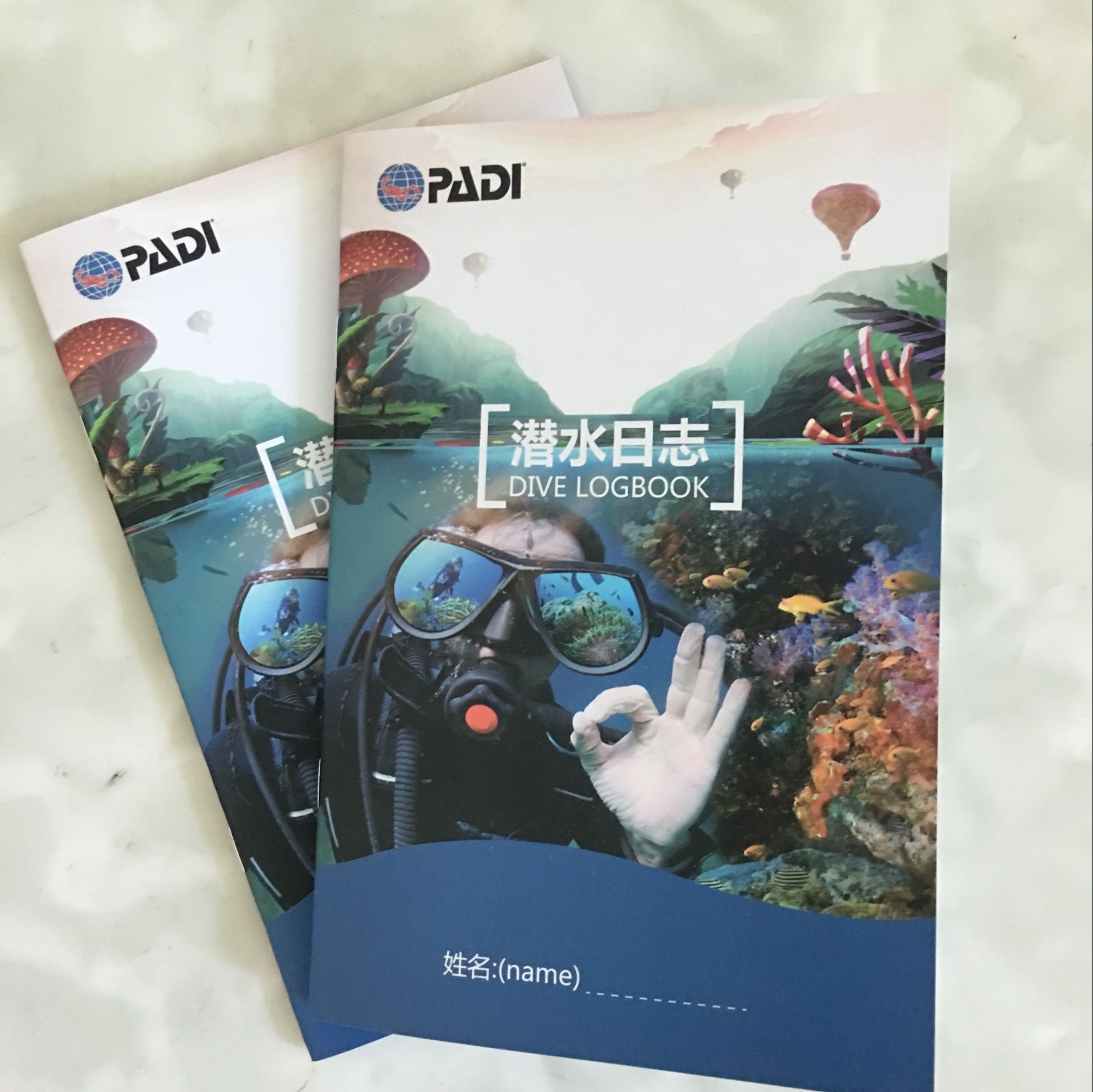 Dive log dive log chinese and english version｜a treasure book that ...