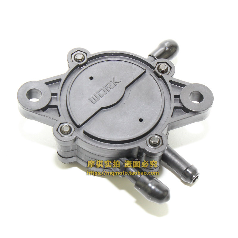 🔥必看！隆鑫无极LX150T-29 150T SR150GT SR150T专用燃油泵，让你的摩托车动力升级！🔥-油箱-淘宝百科网