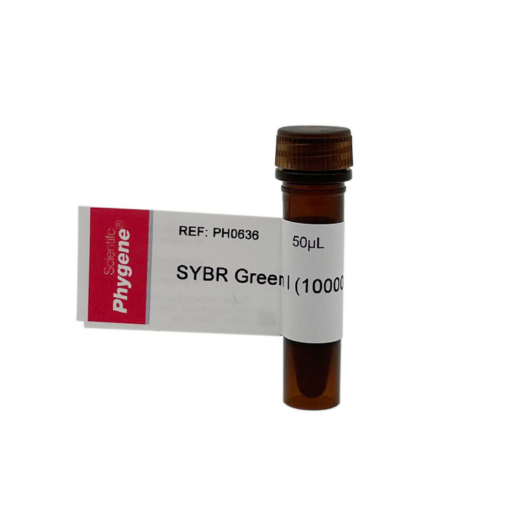 SYBR Green I (10000×) 核酸电泳 核酸染料 50uL PH0636 PHYGENE-阿里巴巴