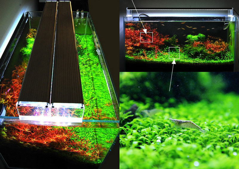 [USD 23.96] LED fish tank bulb water tank rack LED strip fish tank ...