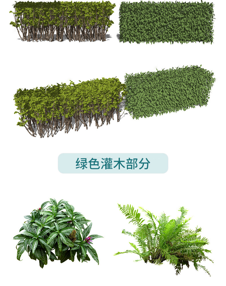 2023园林景观庭院植物花草树木绿篱乔木花卉灌木丛草图大师SU模型-cg男孩
