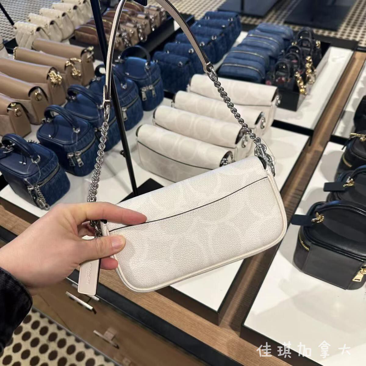25年必买！Coach Hailey斜挎包避坑指南｜加拿大代购直邮真香实测-服装品牌-淘宝好物网