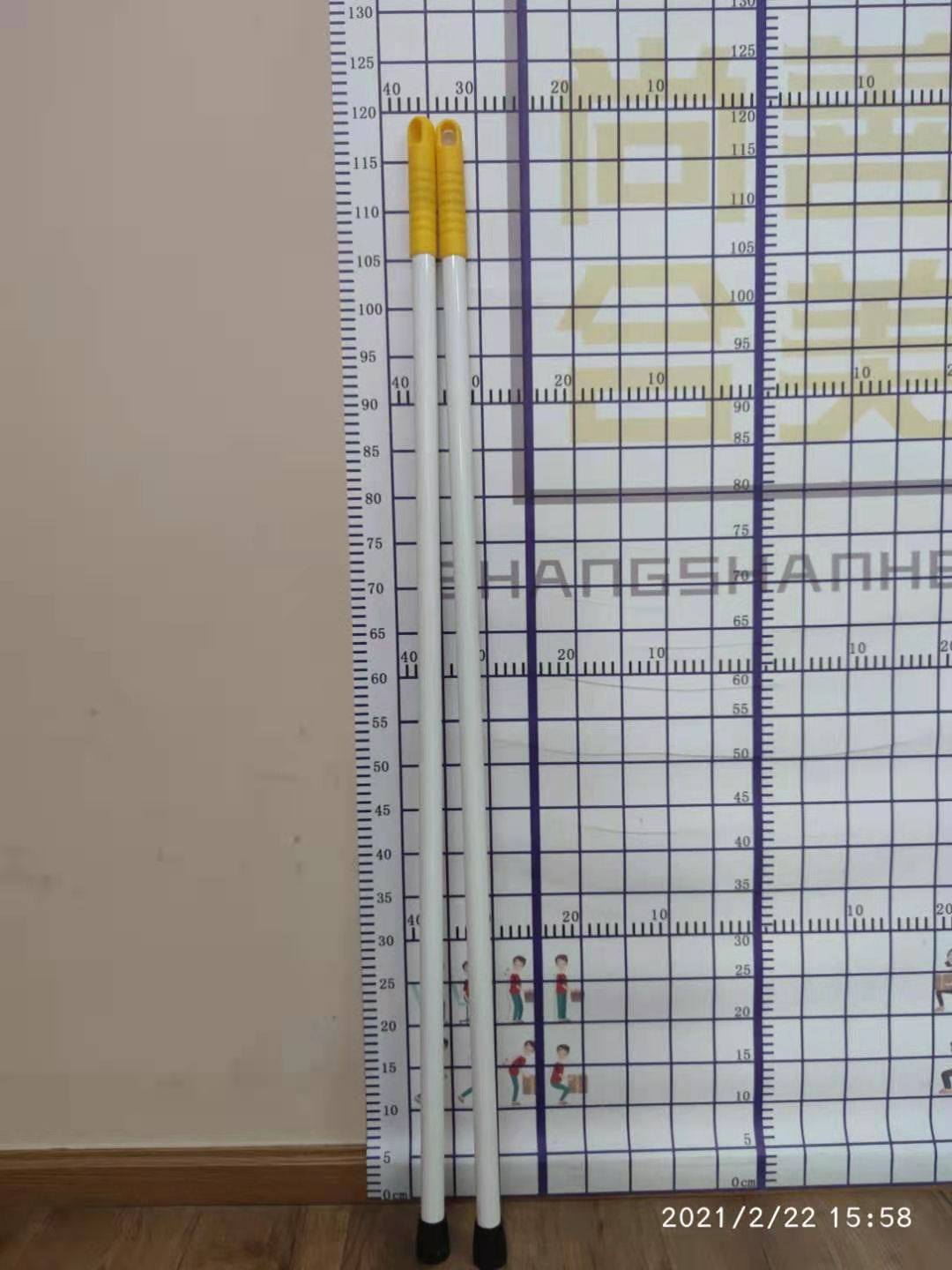 [USD 65.80] SPS Spine Spiral Stabilized Muscle Chain Training Rod ...