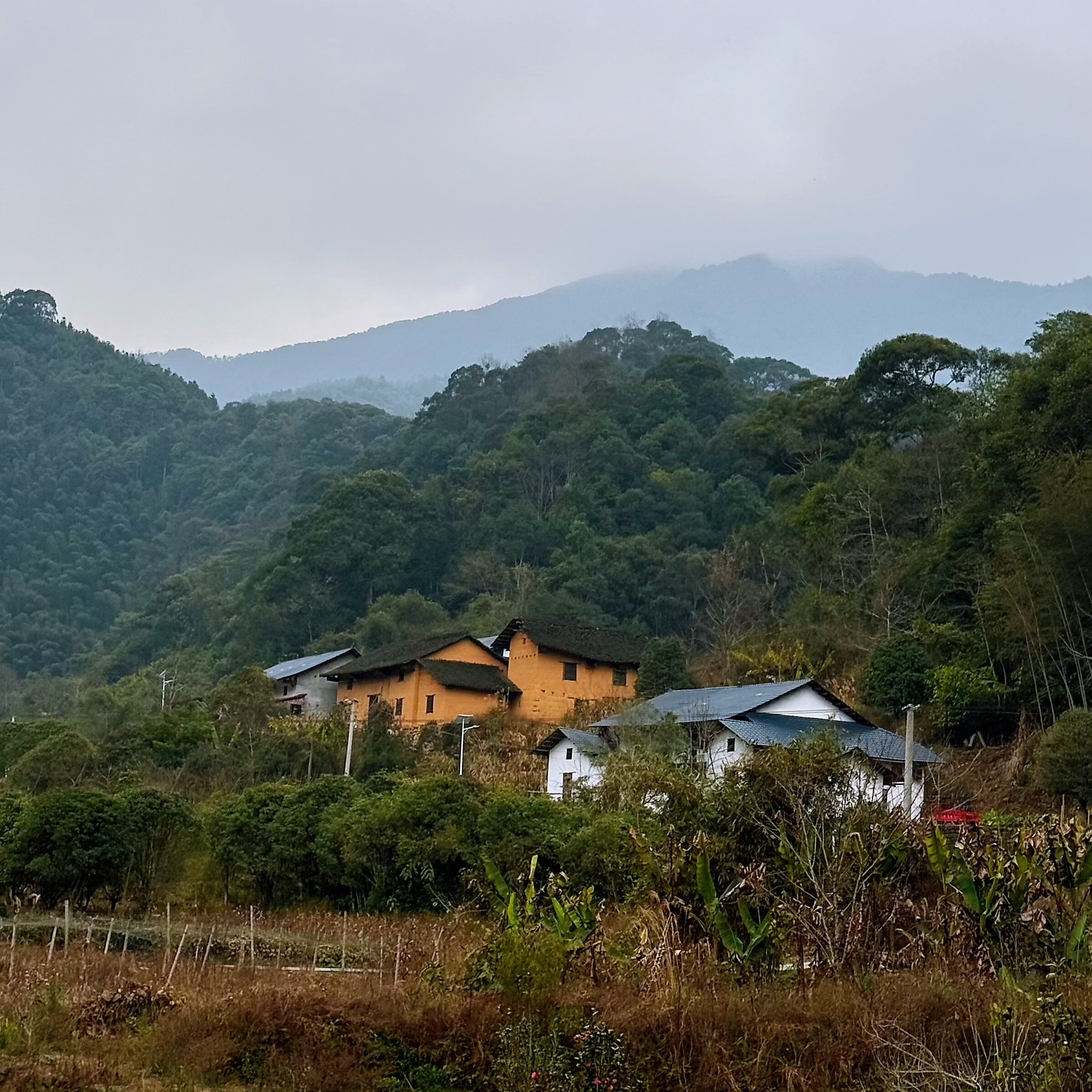 桂林永丰土特产