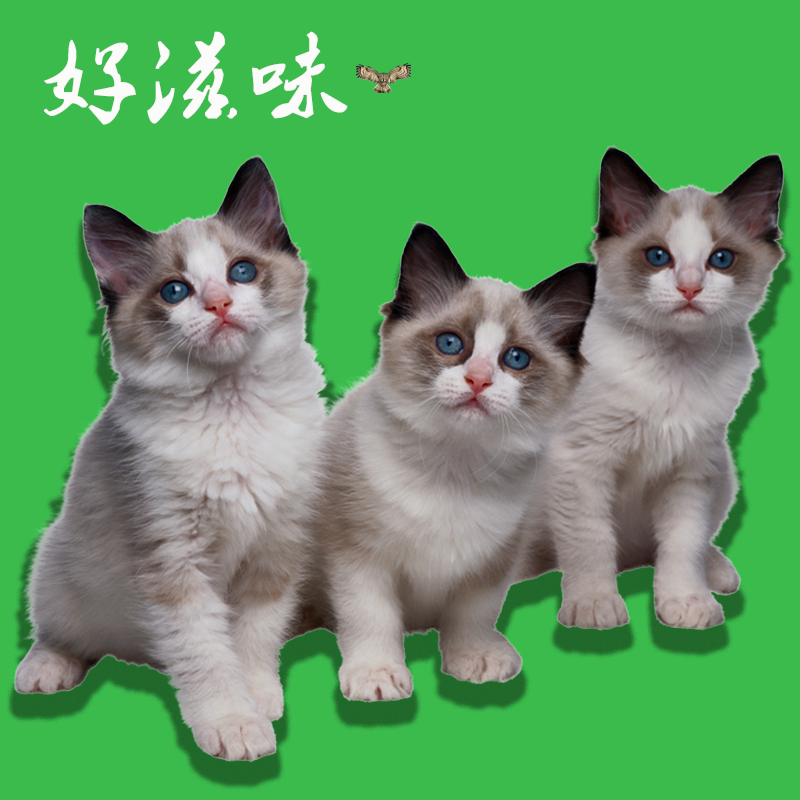 好滋味直销店