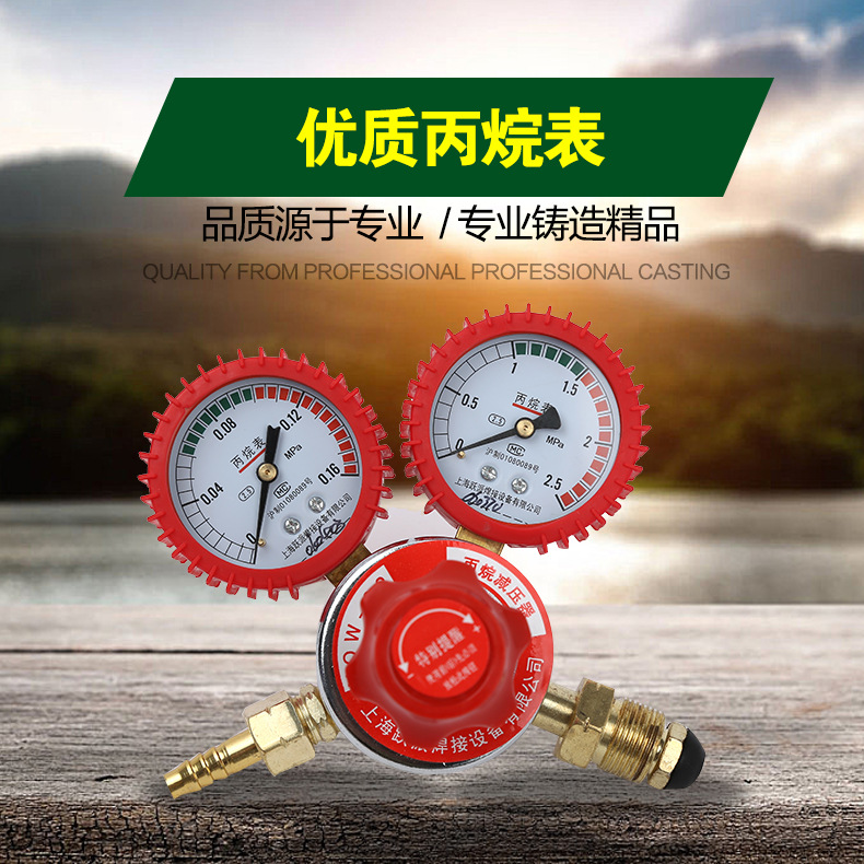 上海跃派YQW-02丙烷减压器全铜煤气压力表家用液化气丙烷减压阀