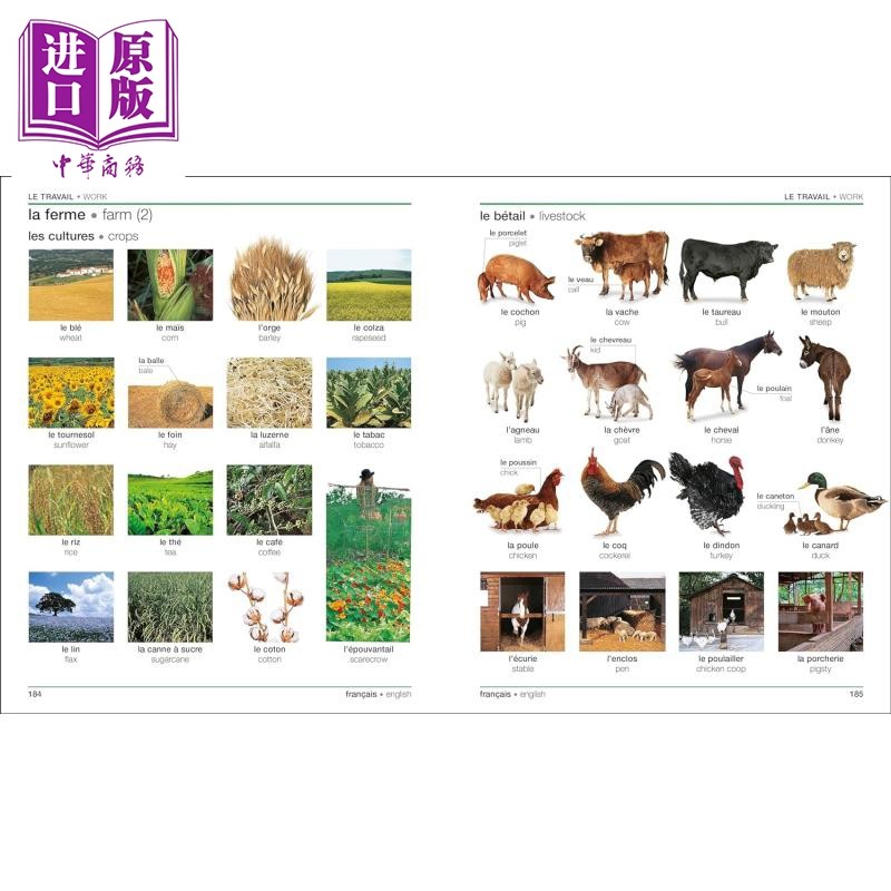 法英双语学习利器！DK Bilingual Visual Dictionary 2024年新版，你的商务词汇库升级指南？🤔📚-进口教材-淘宝好物网