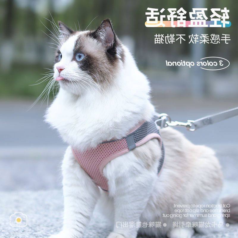 A must-have for 25 years! cat anti-breakaway harness and leash｜princess ...