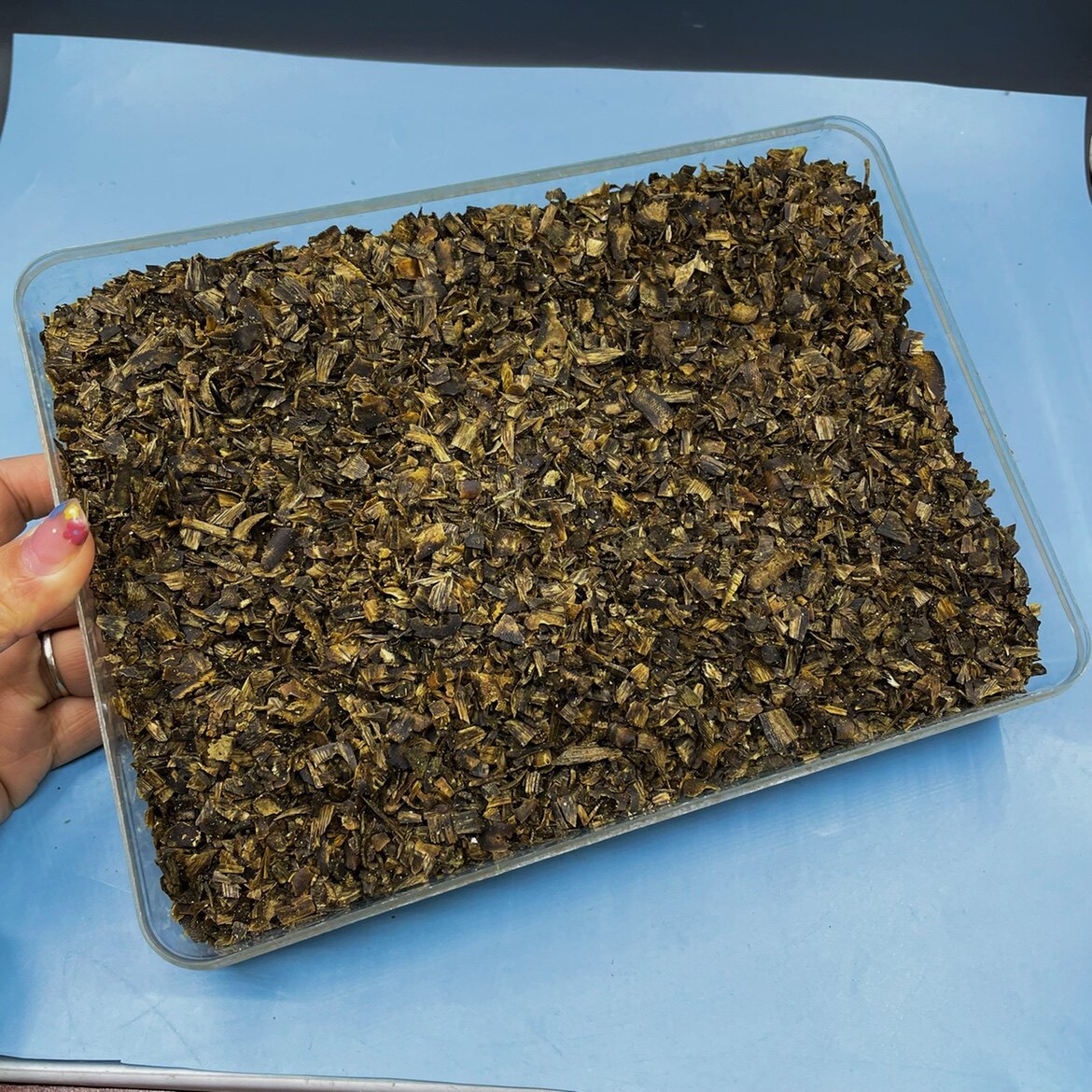 Submersible-grade full-fat green nan, national fragrance agar electric ...