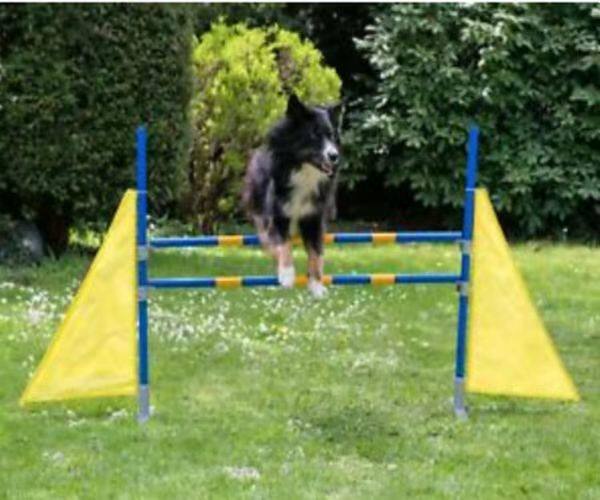 FCI宠物跨栏国际敏捷赛级宠物狗上下障碍Dog Jump Bar竞赛运动-阿里巴巴