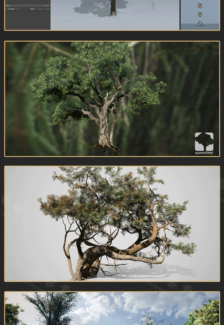 SpeedTree 树木植物树库合集加教程_特效基础_朱峰社区转载教程
