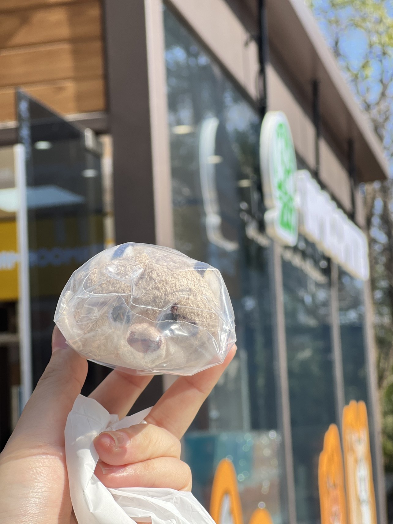 南京红山动物园限定BambooMates猞猁趴趴玩具有什么亮点？🐾深度测评来了--淘宝好物网