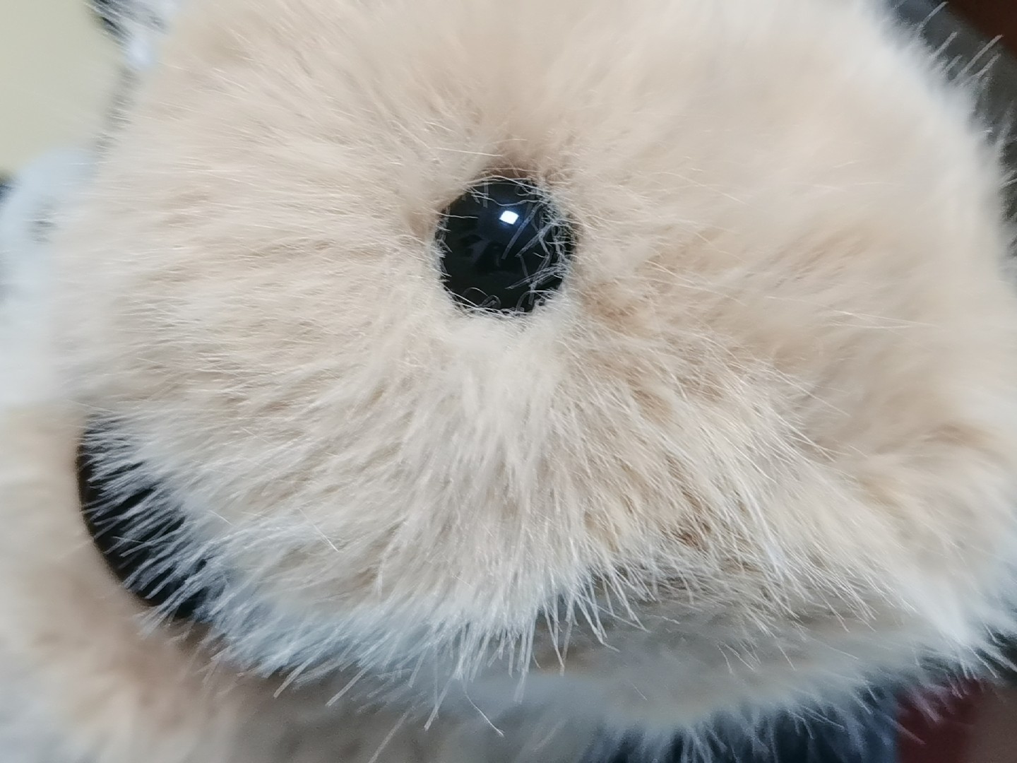 Cupboo咘咘智能宠物机器人AI毛绒机器宠物幼兽陪伴机器人生日礼物评价 - 淘宝网