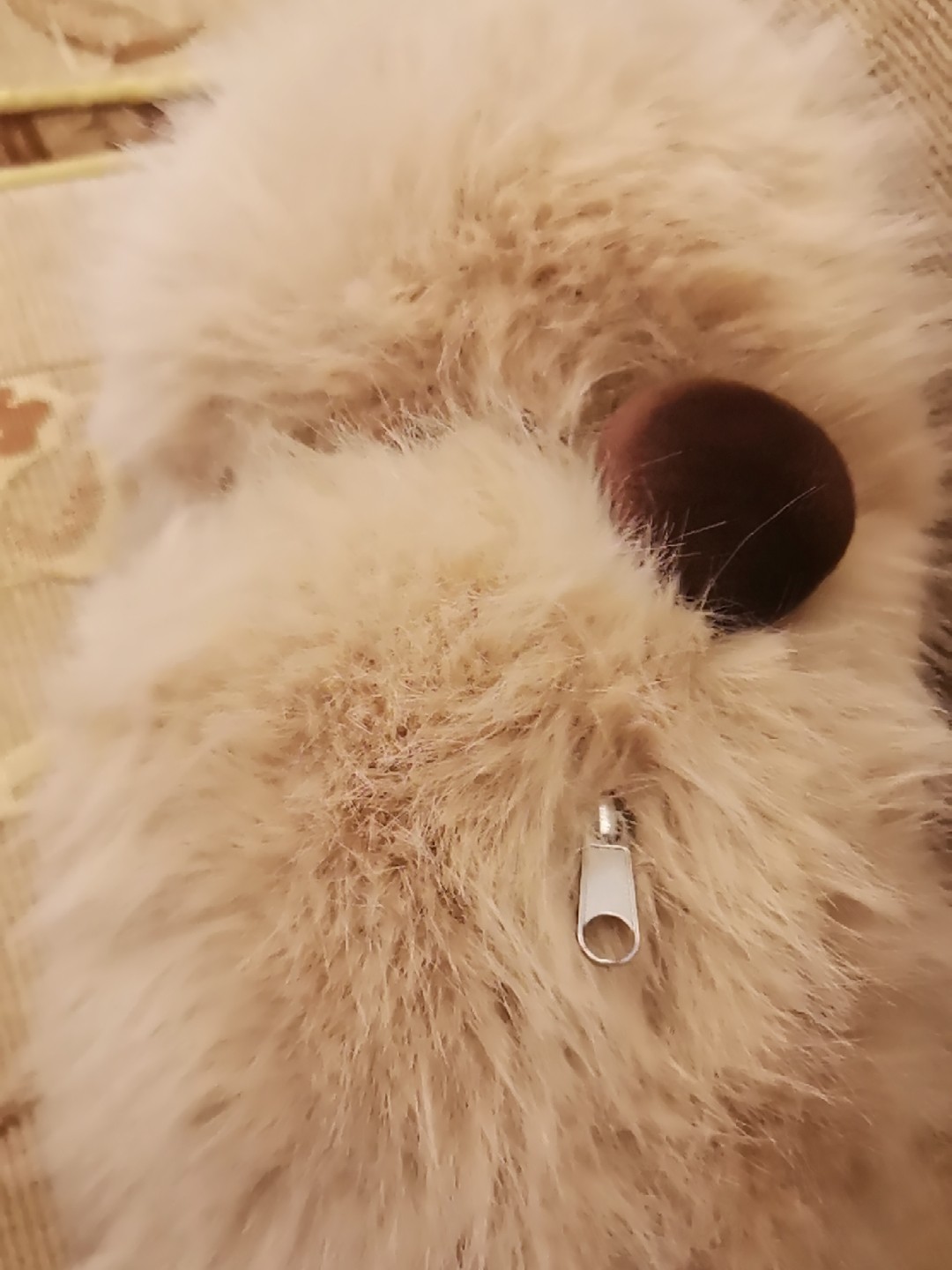 Cupboo咘咘智能宠物机器人AI毛绒机器宠物幼兽陪伴机器人生日礼物评价 - 淘宝网