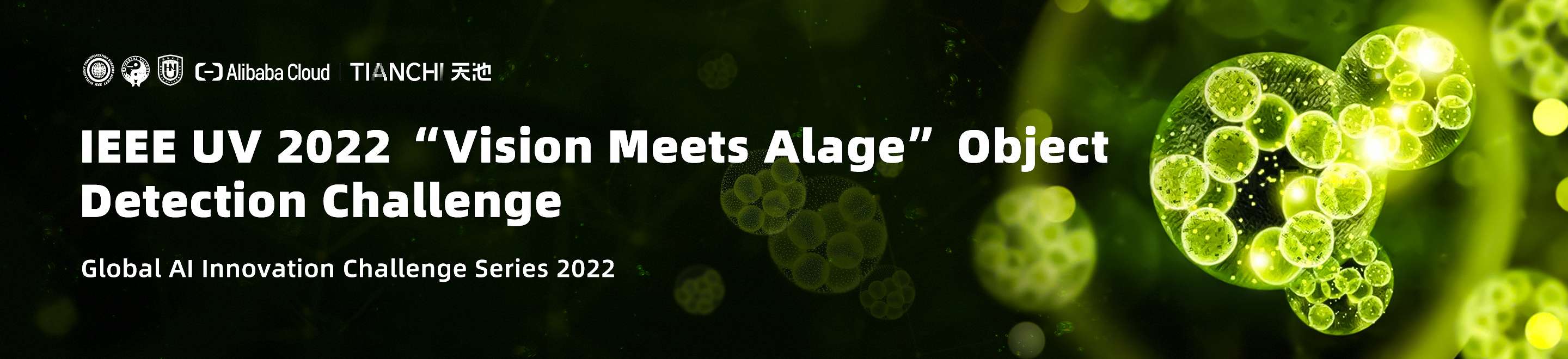 IEEE UV 2022 “Vision Meets Algae” Object Detection Challenge__天池大赛-阿里云天池的赛制