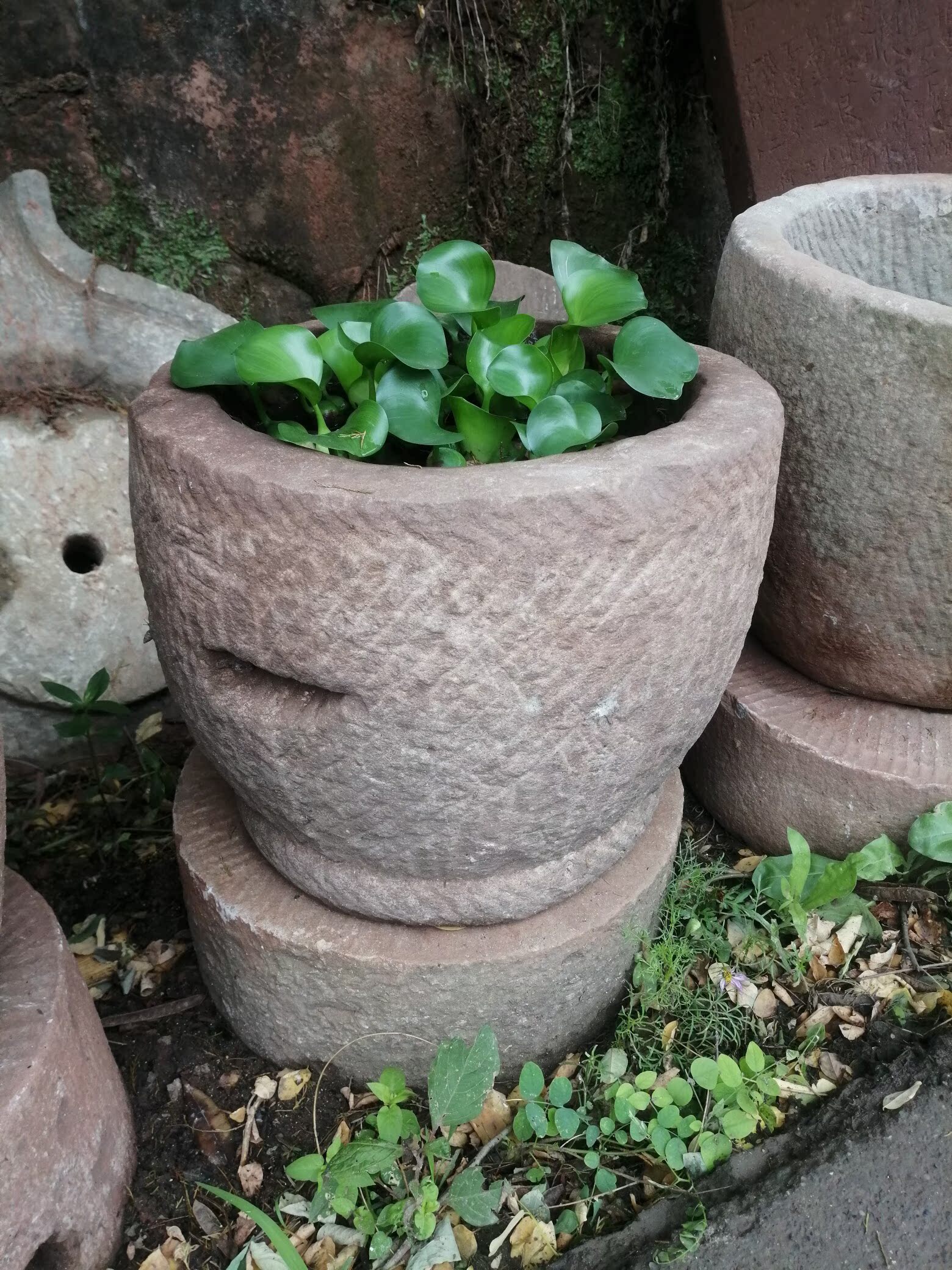 A few boutique stone tanks to see private chat can be used for ...