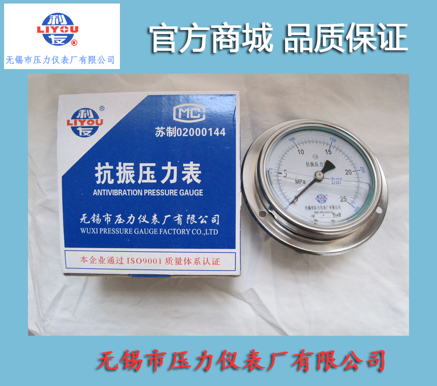 抗震压力表0.1MPa,1MPa,2.5MPa,10MPa,16MPa,25MPa,40MPa,60MPa