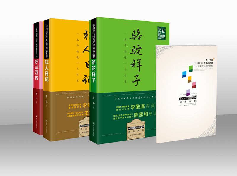 Купить Портфолио Летнее чтение 10 книги его чайхана Хулан реки ...
