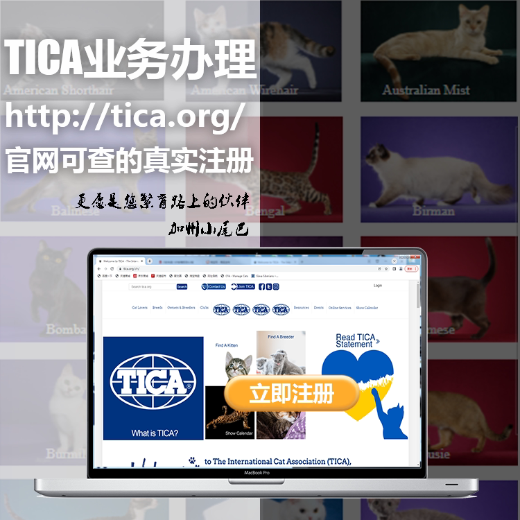 [USD 33.39] Registration TICA Certificate of Origin TICA Cat House Cat ...