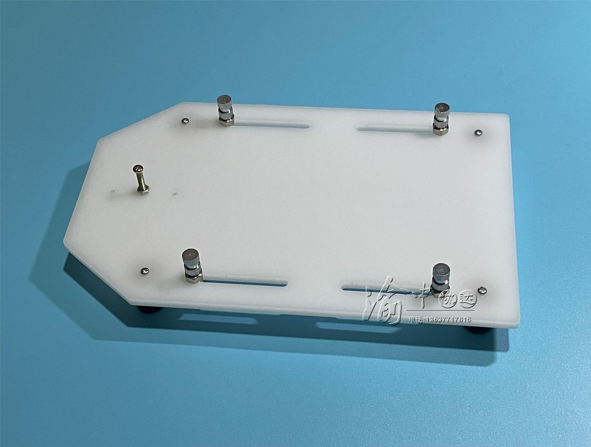 [USD 13.00] Mouse dissection table Mouse dissection table Mouse ...