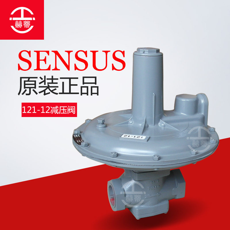 DME booster sensus121-12 gas pressure reducing valve liquefied ...