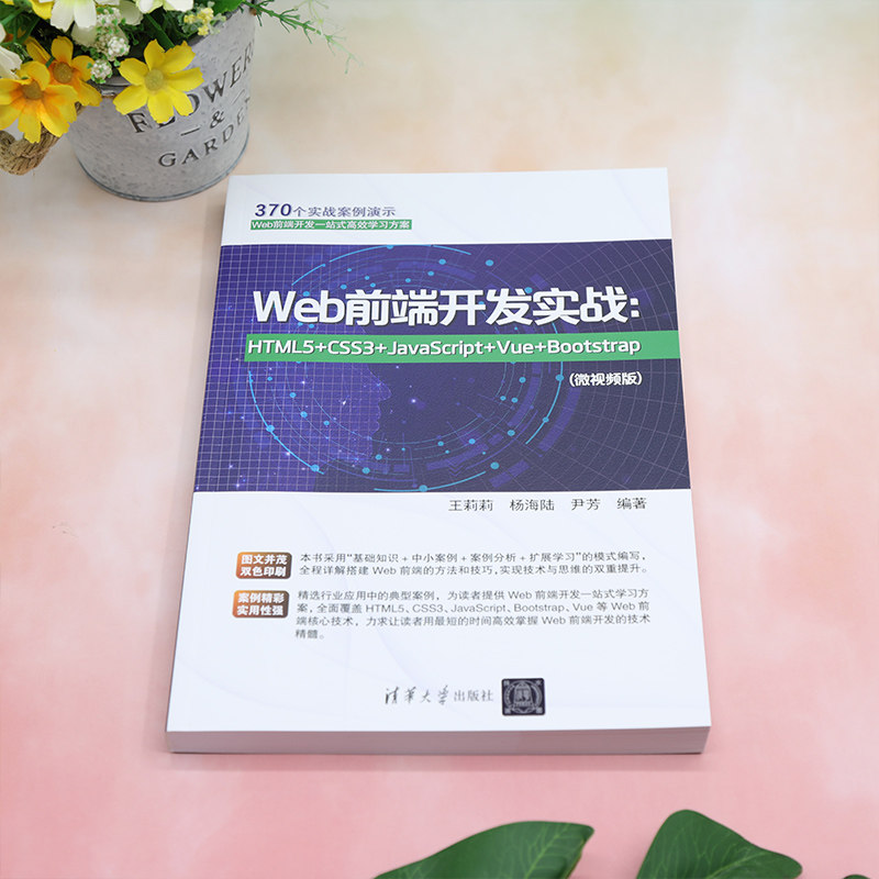 Web前端开发实战：HTML5+CSS3+JavaScript+Vue+Bootstrap(微视频版)，学完就上手，新手也能变大神！-网站设计-淘宝好物网