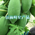 优而鲜农产品