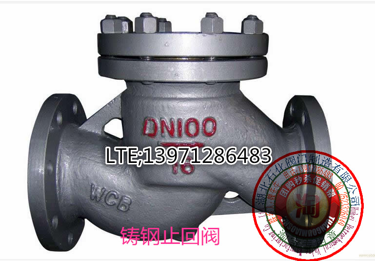 上海H41H-16C铸钢碳钢升降式法兰止回阀逆止阀 止回阀DN15-DN250