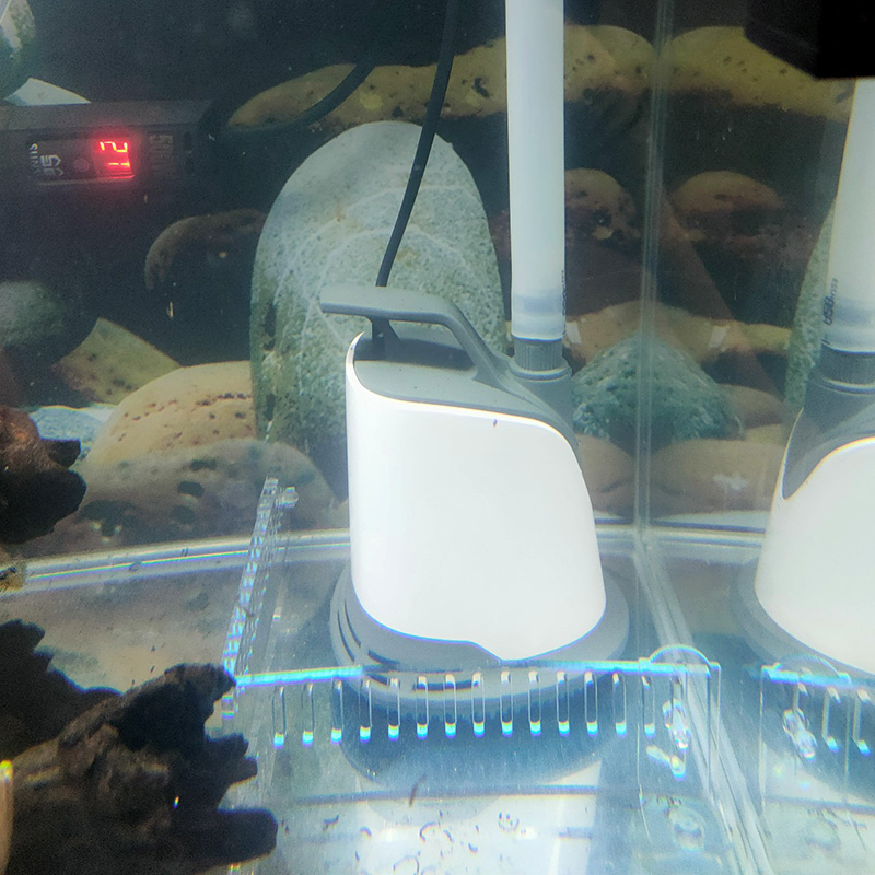 [USD 5.40] Acrylic Dampener Custom Fish Tank Rail Fish Comb Overflow Row Drip Plate Overflow ...