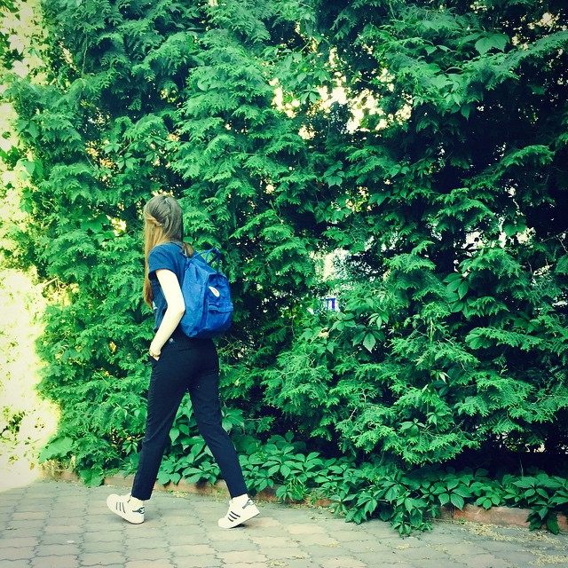 [USD 209.88] Royal Blue ) Swedish Arctic Fox Shoulder Bag Fjallraven ...