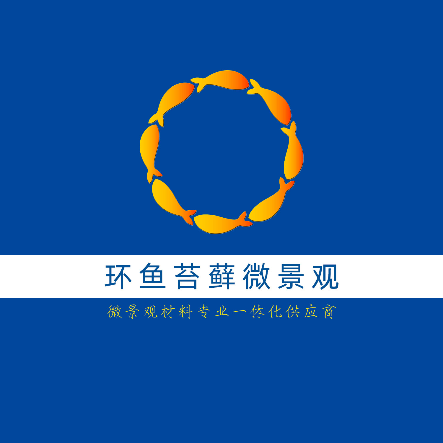 环鱼苔藓微景观